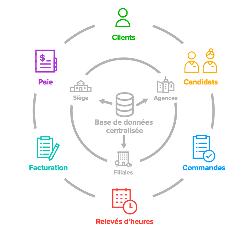 Intégration de l'ERP Anael TT - INFOR - CIAG Toulouse